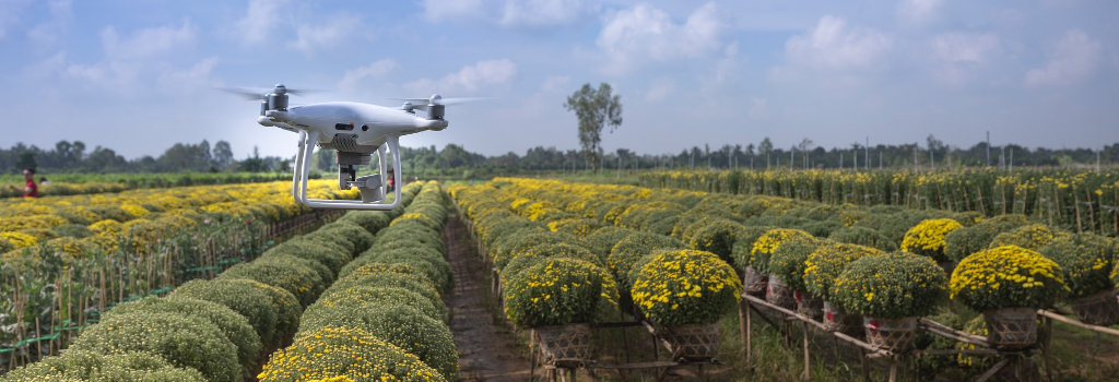 Growing into the new normal in agritech - IBA International